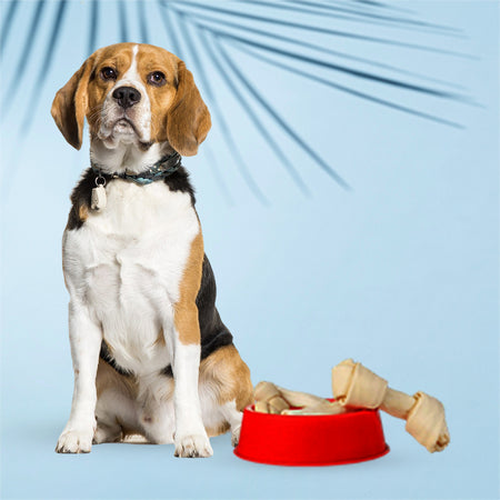 Kwik Pets : Pet Food, Pet Products and Pet Supplies at Low Prices