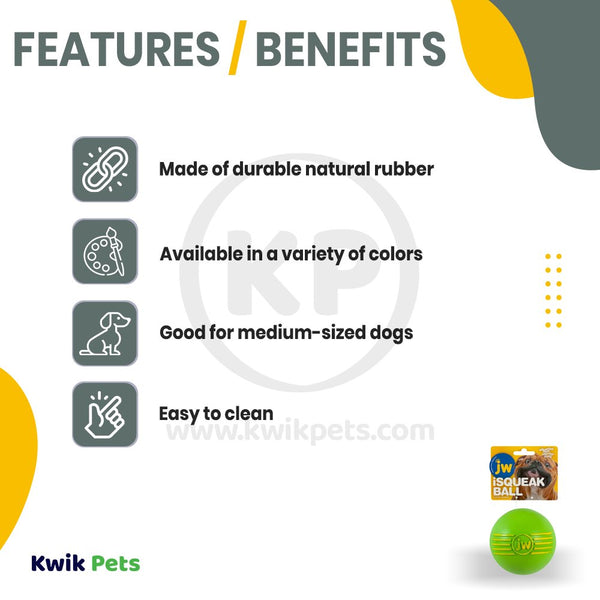 JW PET iSqueak Ball Dog Toy, Color Varies, Large | Kwik Pets